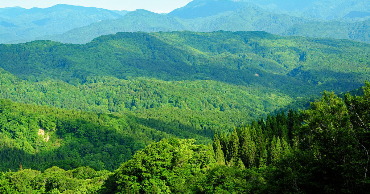 白神山地山脉（联合国教科文组织）｜世界遗产｜【官方】日本国家旅游局(JNTO)